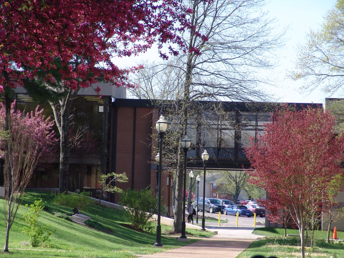 Best Community Colleges In St Francois County MO 2023 